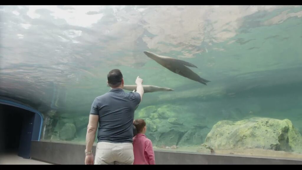 Galapagos Island Expedition - It's A Go! - Zoos - USA - Texas - Houston ...