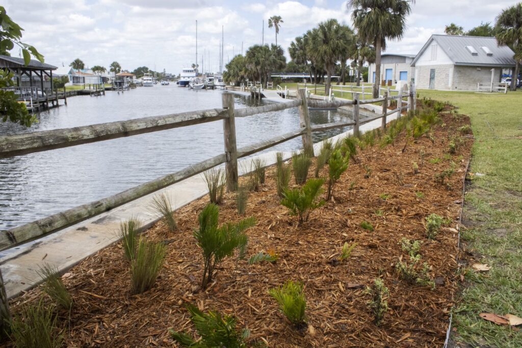 Using Buffer Zones To Help The Lagoon - Zoos - USA - Florida - Brevard ...