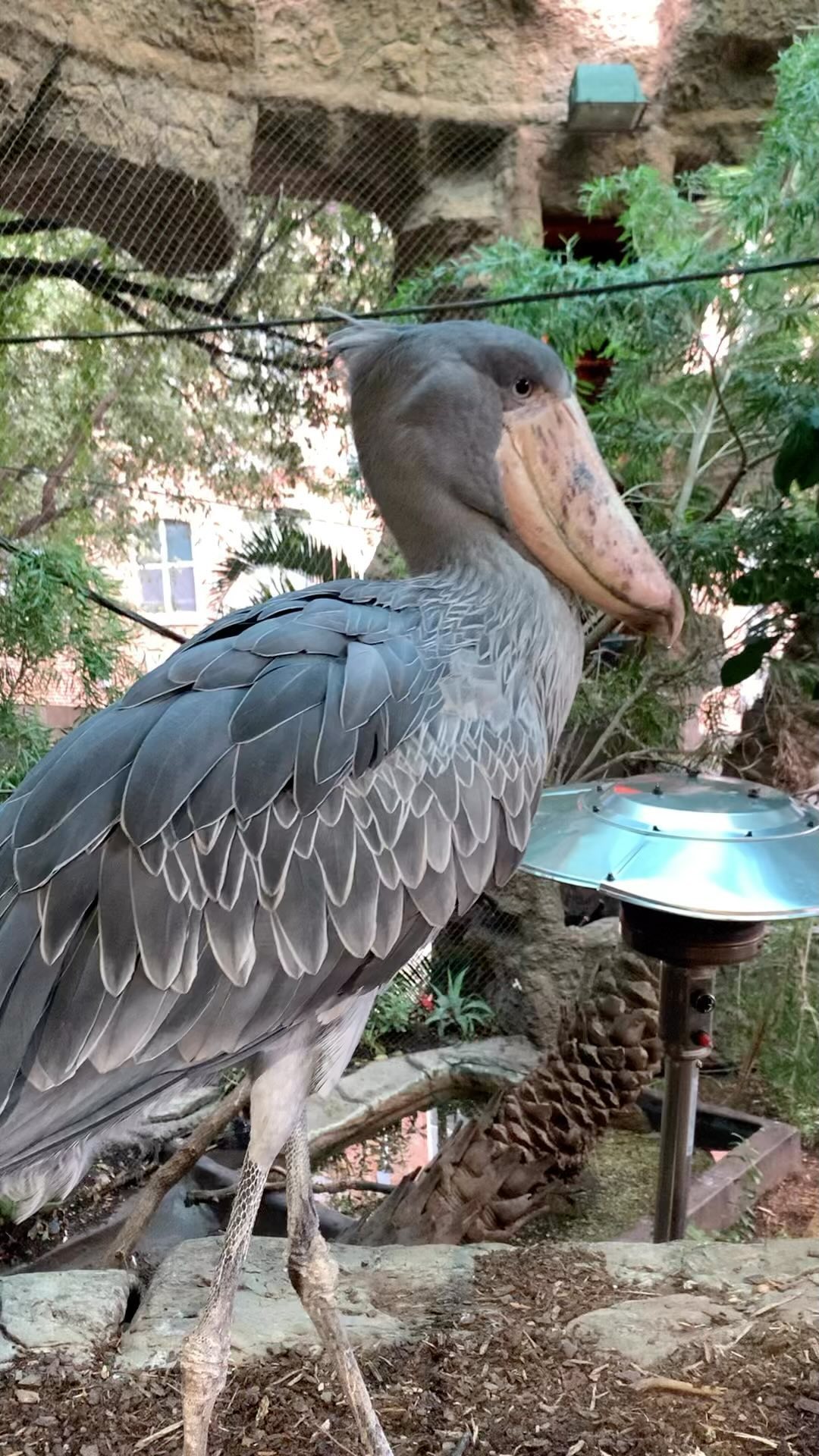 Undoubtedly One Of Nature's Most Fascinating Creatures: The Amazing ...