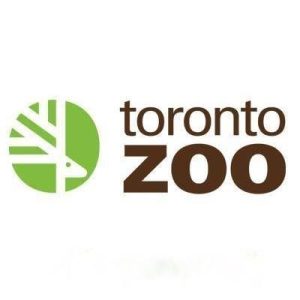 Definitive Guide To Toronto Zoo Facts, List Of Animals, Reviews And ...