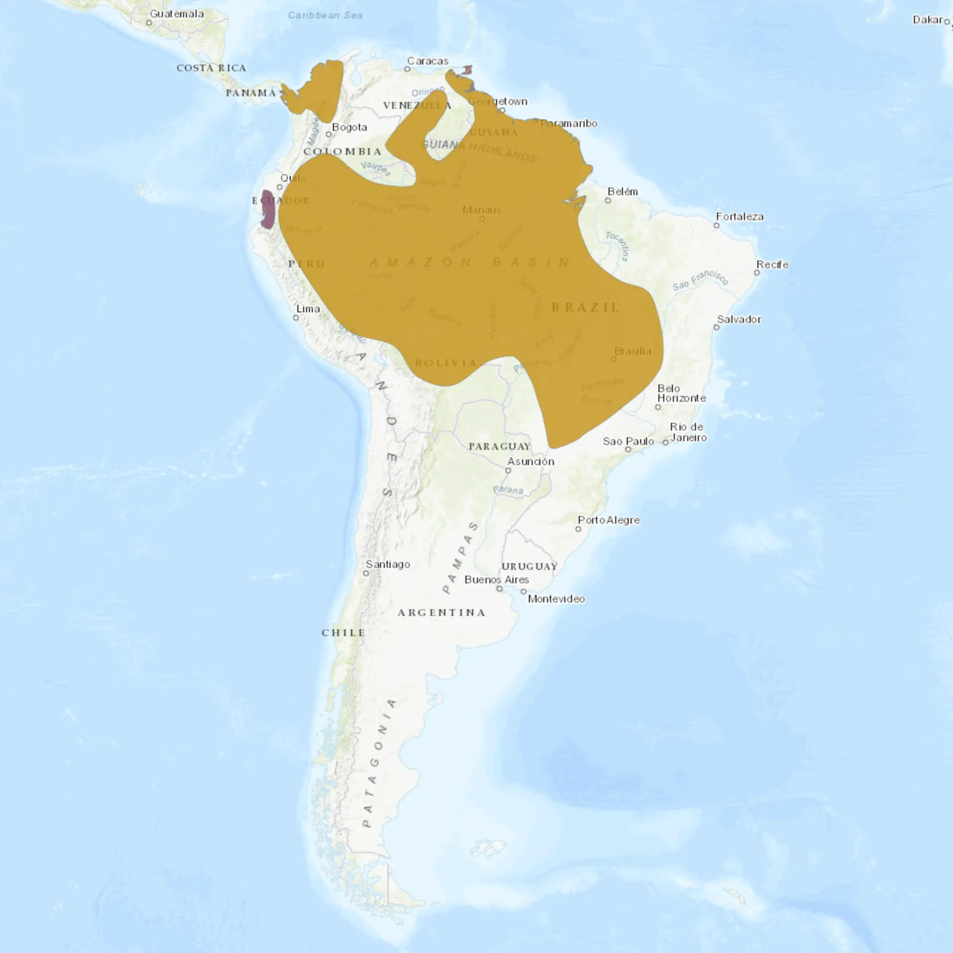 Definitive Guide To Blue-and-Yellow Macaw Facts, Habitat, Conservation ...