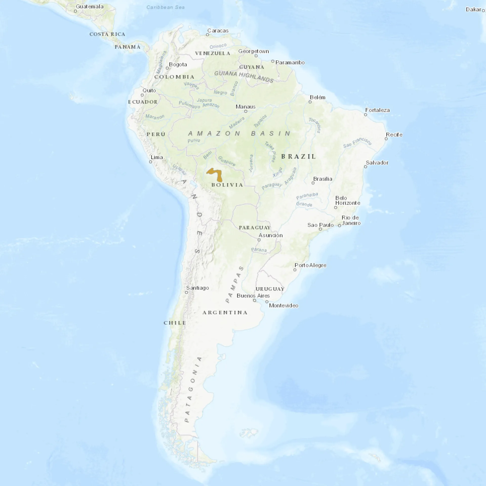 Definitive Guide To Blue-throated Macaw Facts, Habitat, Conservation ...