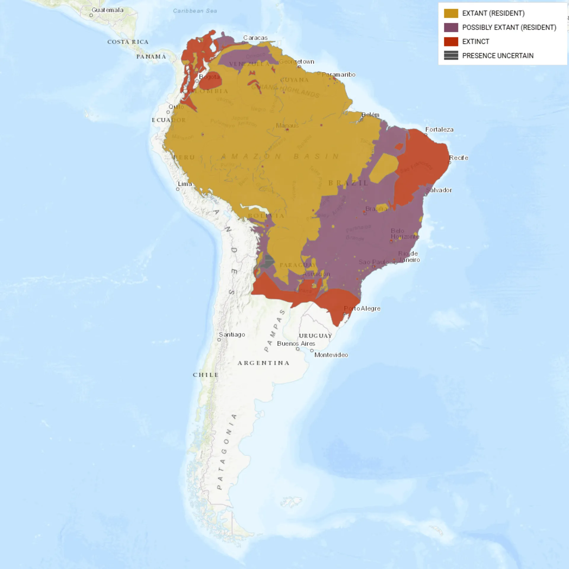 Definitive Guide To Brazilian Tapir Facts, Habitat, Conservation Status ...