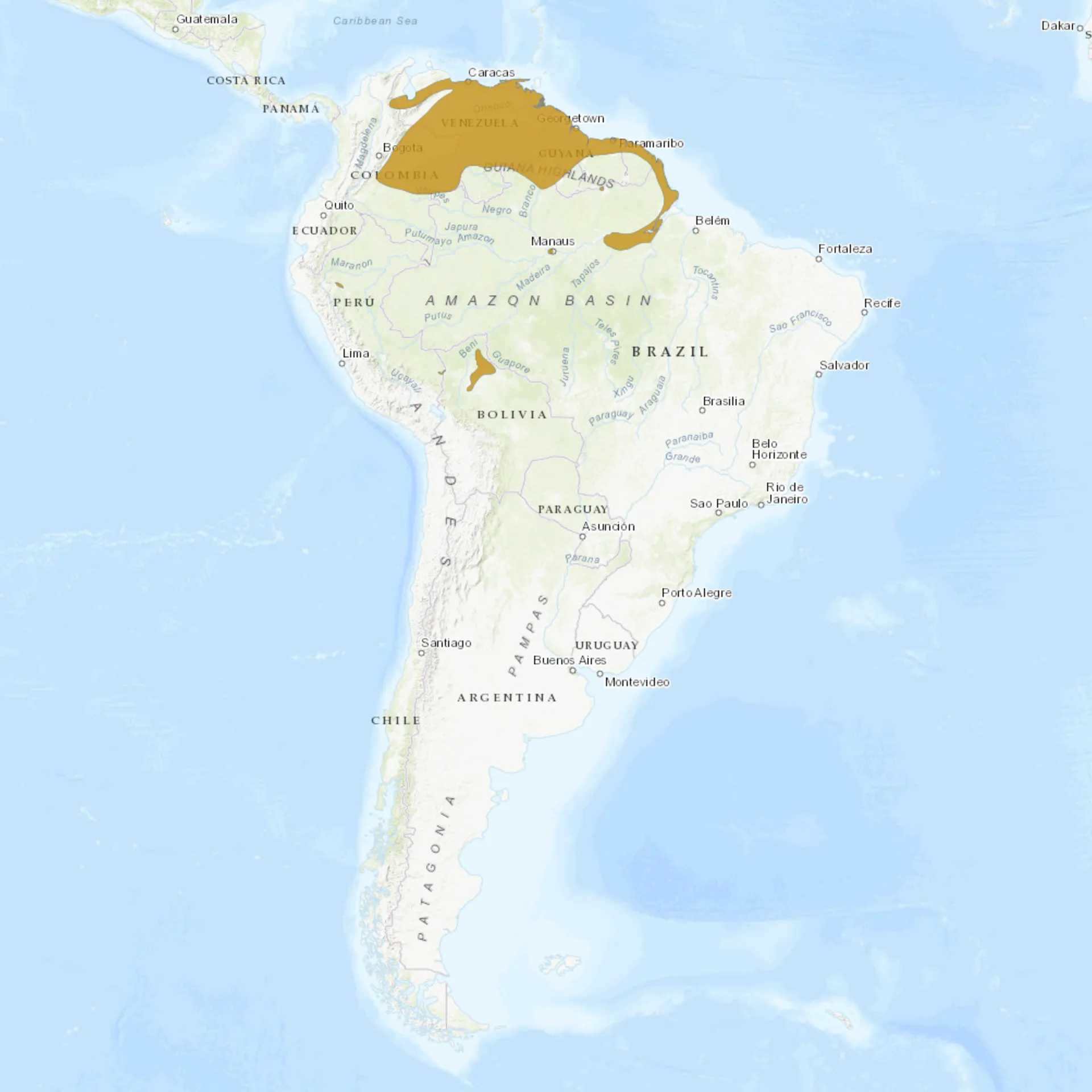 Definitive Guide To Burnished-buff Tanager Facts, Habitat, Conservation ...