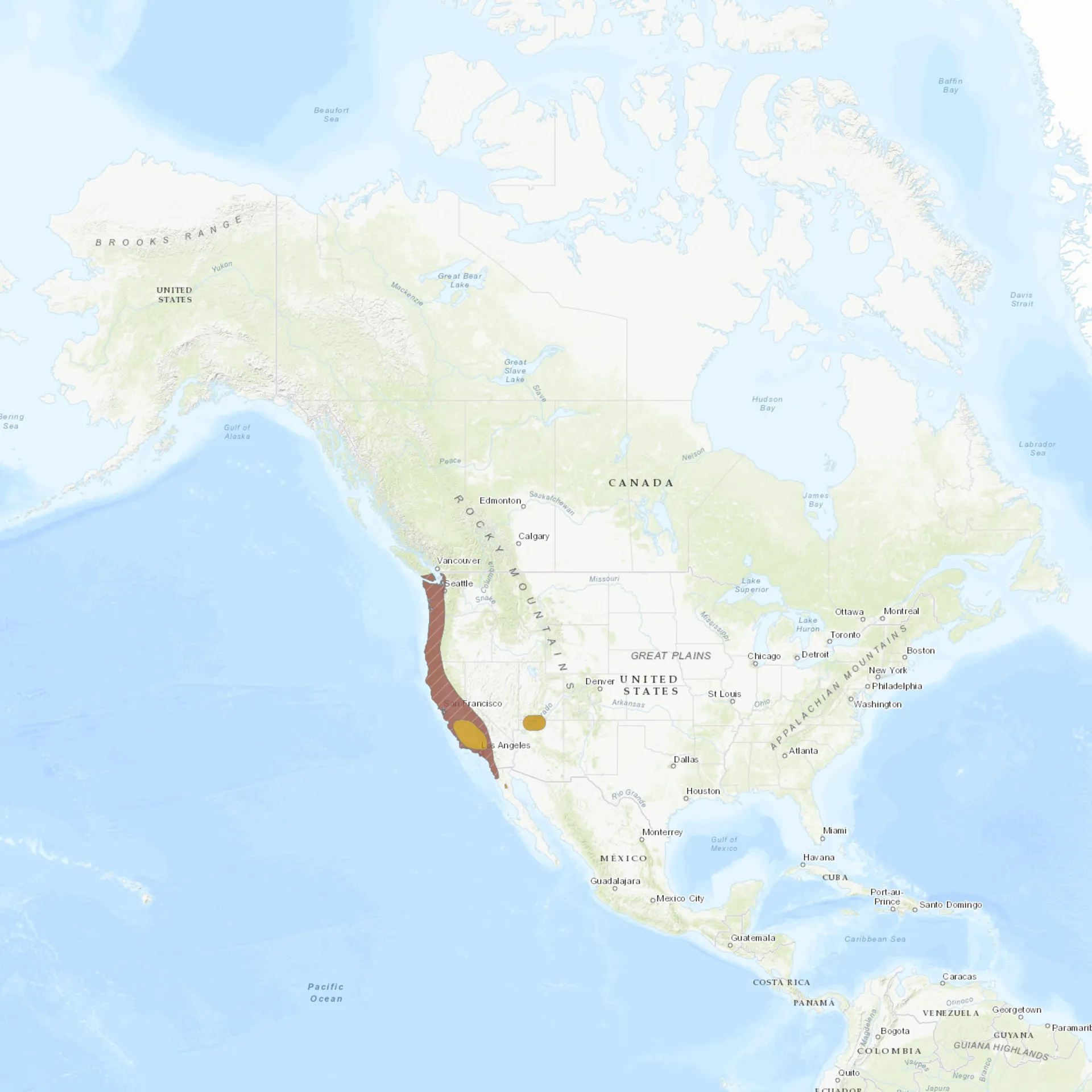 Definitive Guide To California Condor Facts, Habitat, Conservation ...