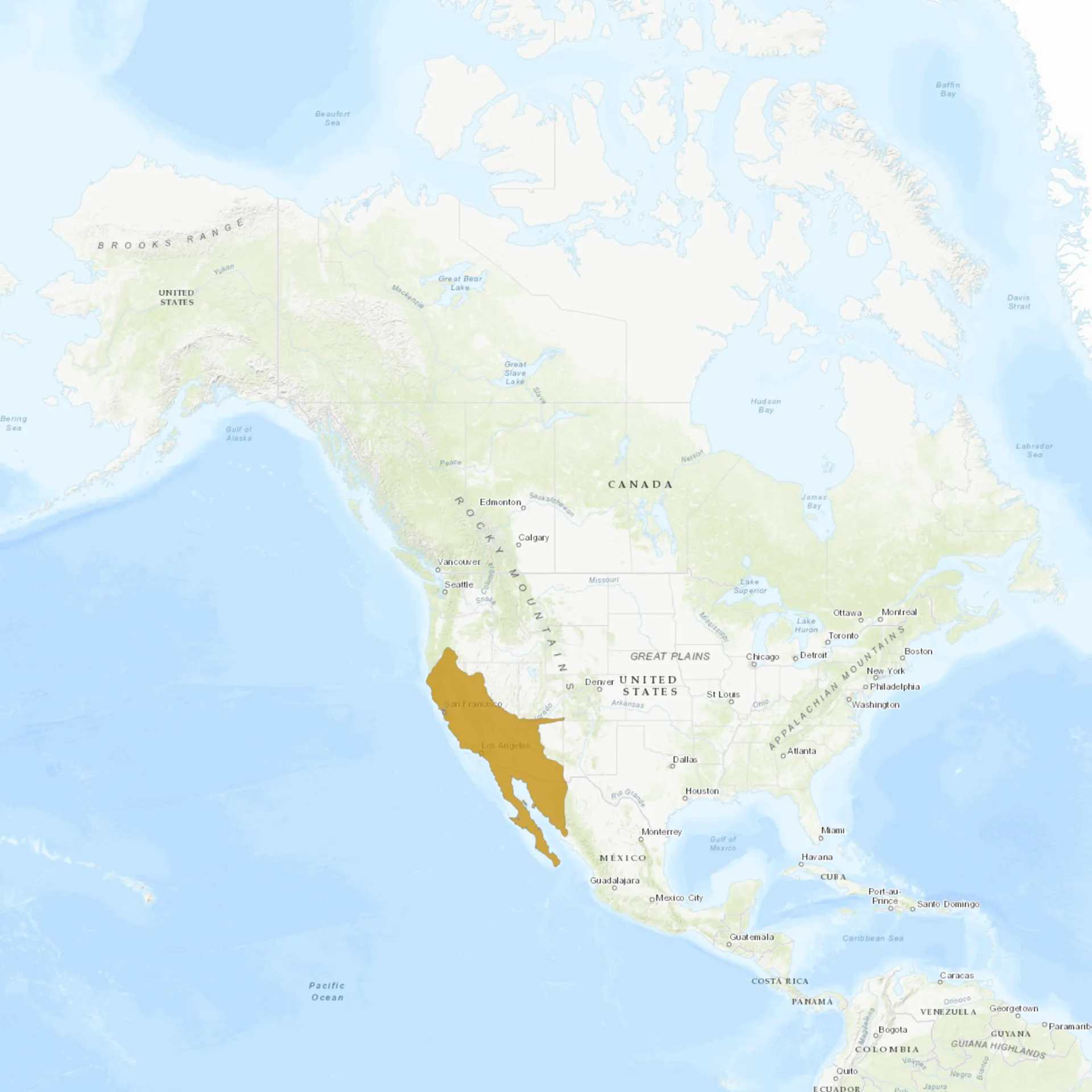 Definitive Guide To California Kingsnake Facts, Habitat, Conservation ...