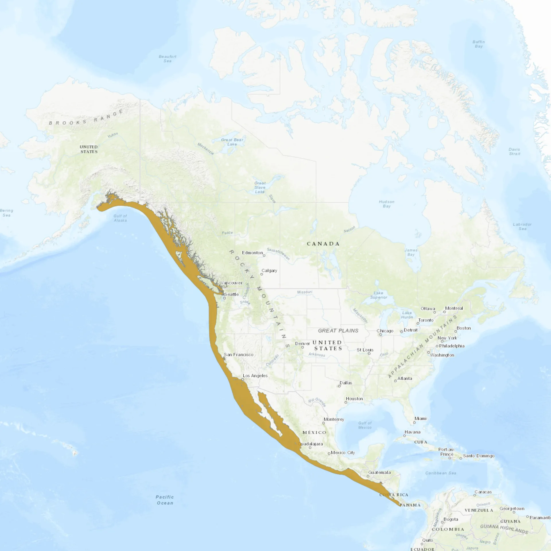 Definitive Guide To California Sea Lion Facts, Habitat, Conservation ...