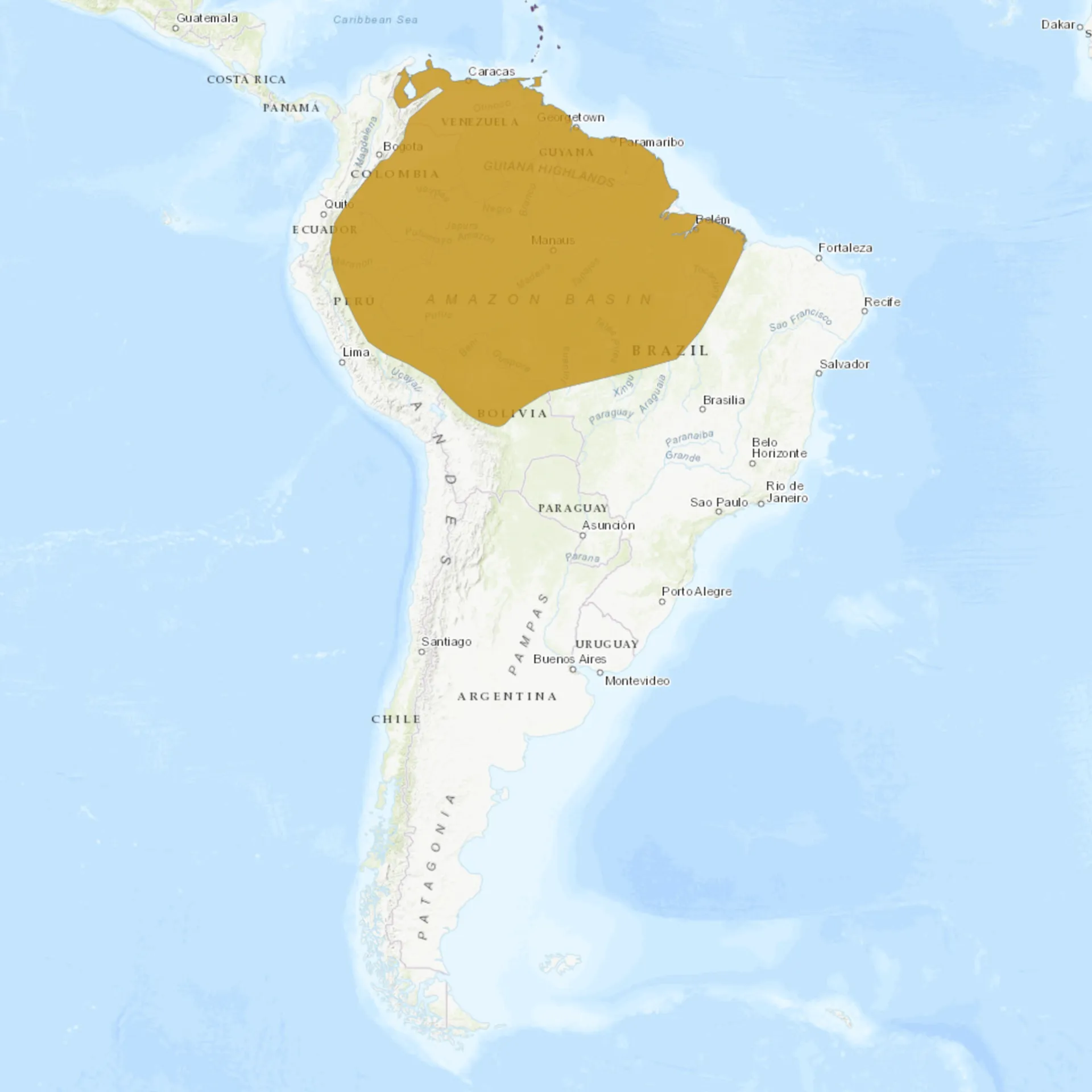 Definitive Guide To Cane Toad Facts, Habitat, Conservation Status, Zoo ...