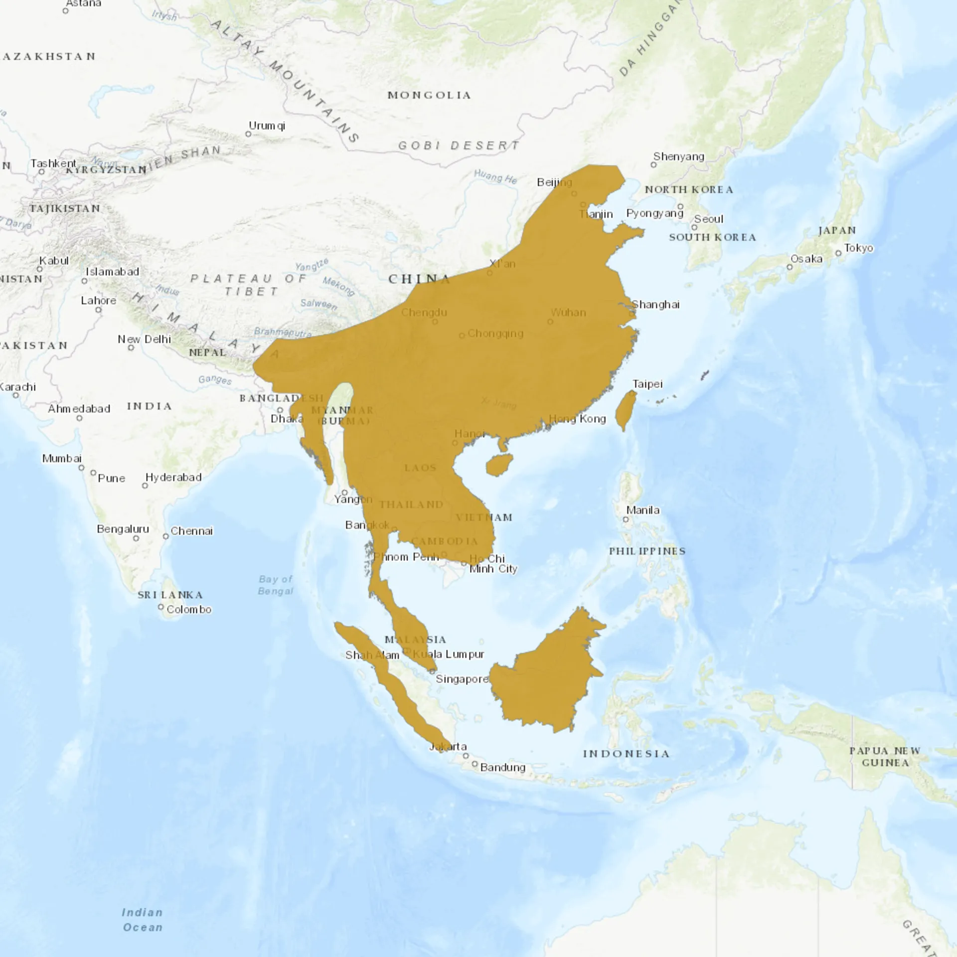 Definitive Guide To Cave Racer Facts, Habitat, Conservation Status, Zoo ...
