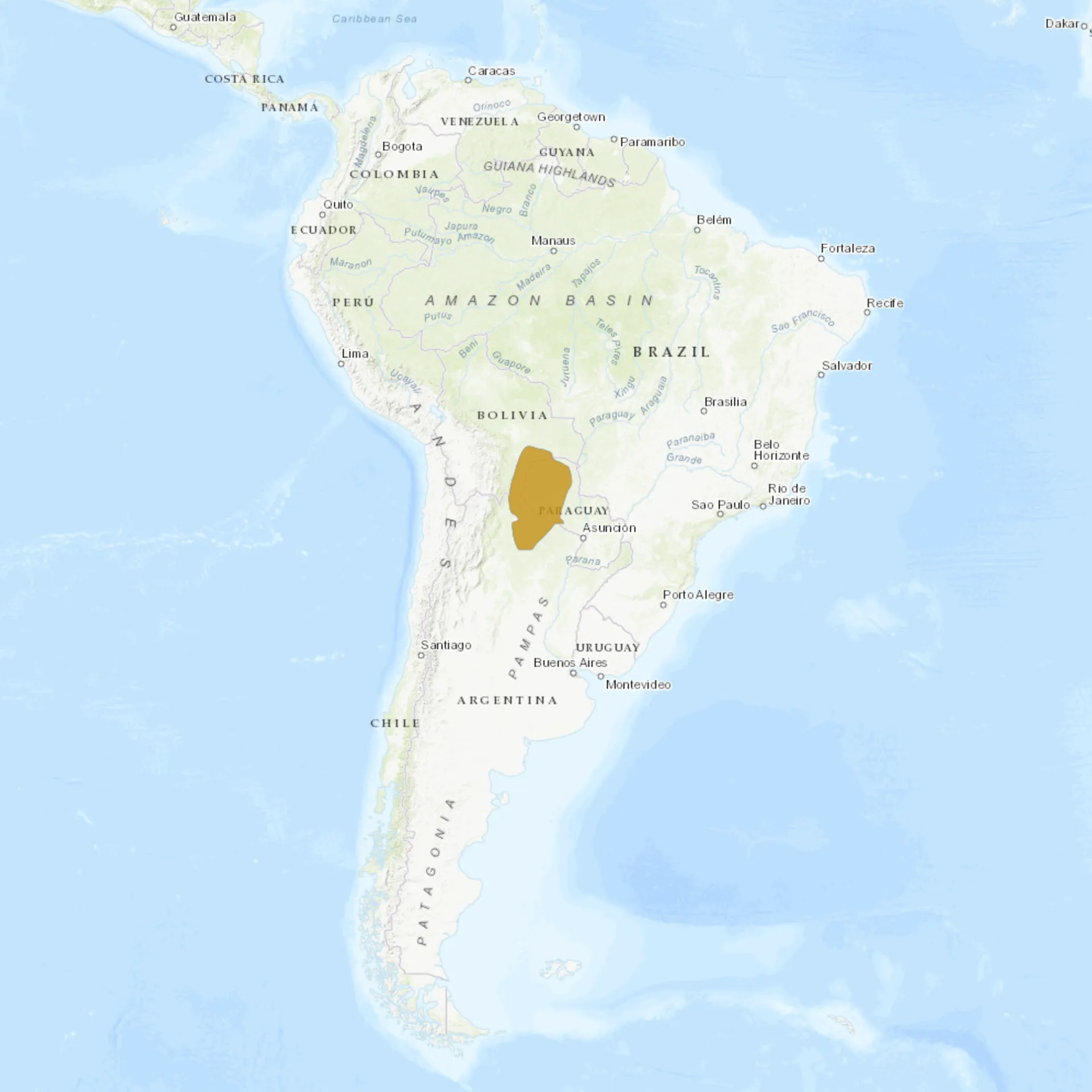 Definitive Guide To Chacoan Peccary Facts, Habitat, Conservation Status ...