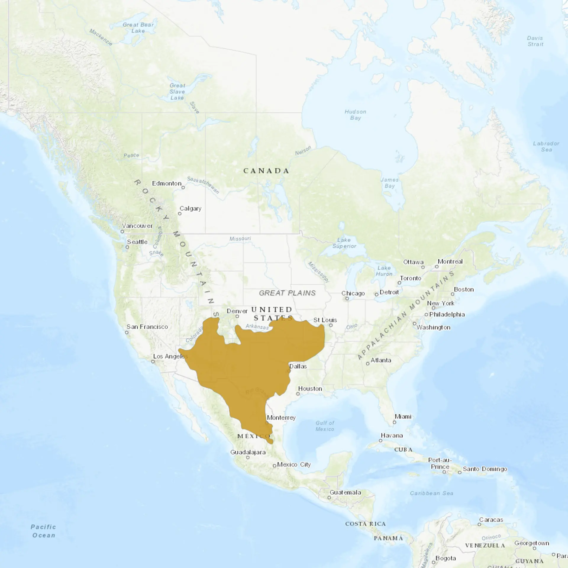 Definitive Guide To Common Collared Lizard Facts, Habitat, Conservation ...