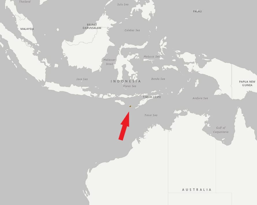 Definitive Guide To Savu Island Python Facts, Habitat, Conservation ...