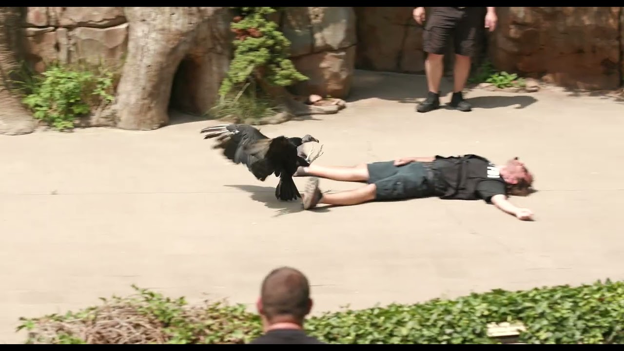 WoW Highlights 2023: Cincinnati Zoo - Zoos - USA - Ohio - Cincinnati ...