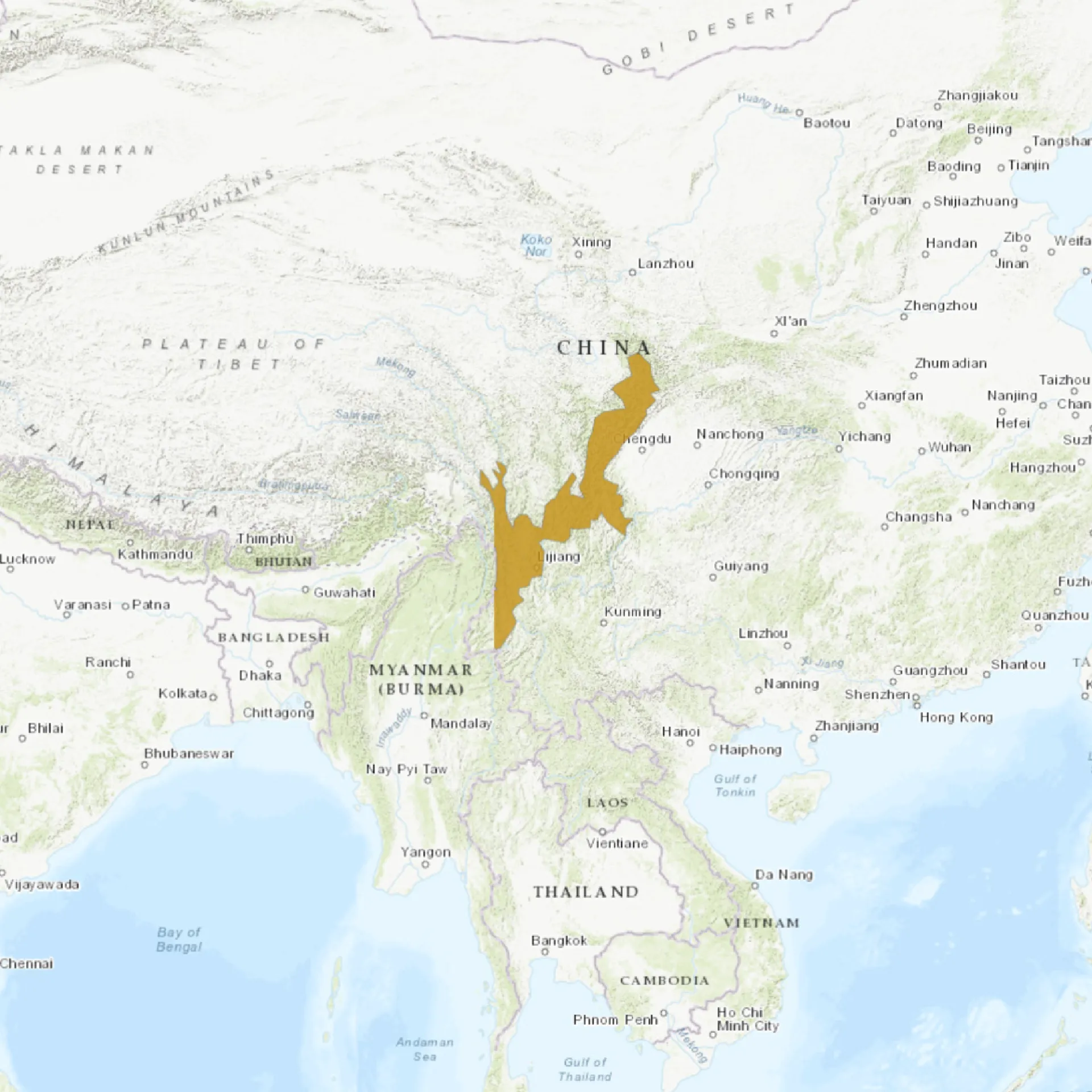 Definitive Guide To Chinese Red Panda Facts, Habitat, Conservation ...