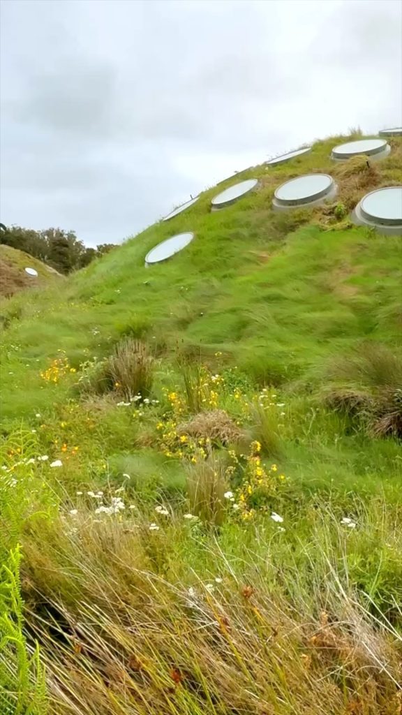 Beyond The Surface: Plants, Animals & Sun-Bleached Bones - Steinhart ...