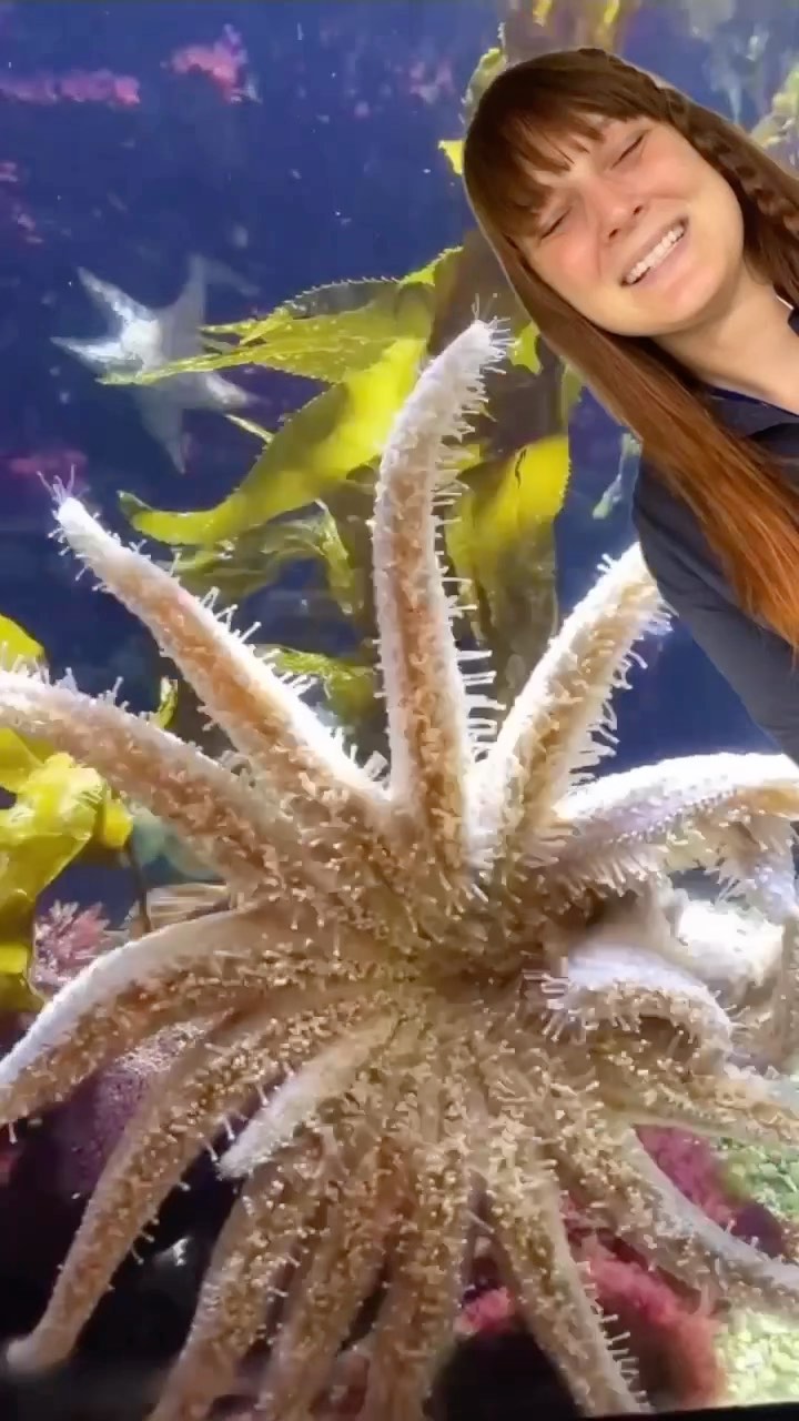 AZA Approves SAFE Program For Animal Conservation - Aquarium Of The ...