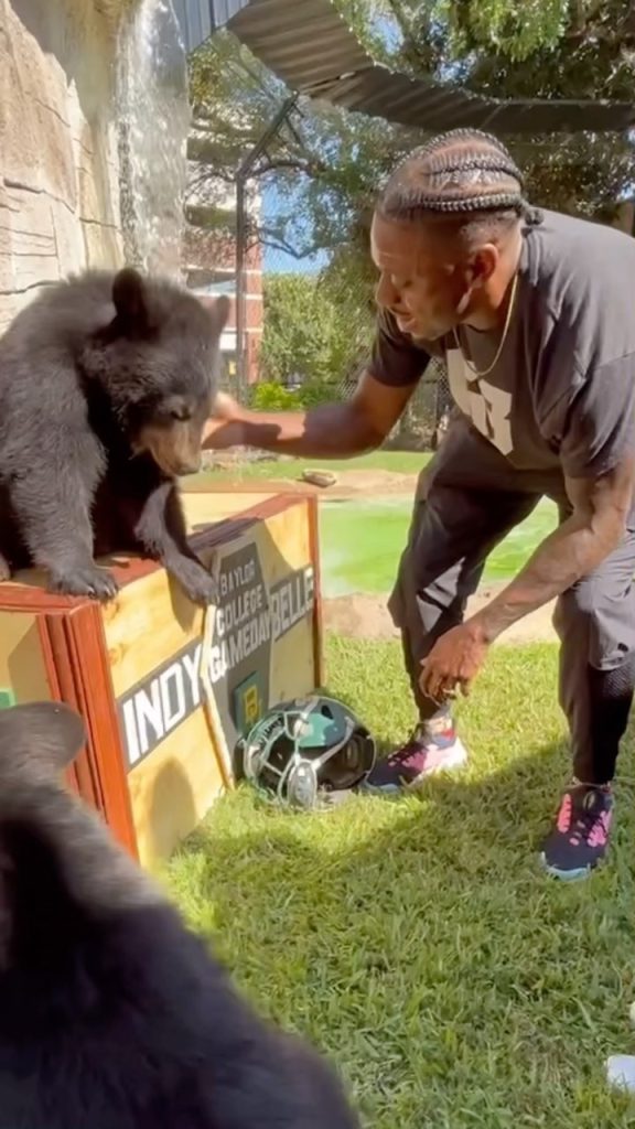 From One Legend To Another - Zoos - USA - Texas - Baylor Bear Habitat ...