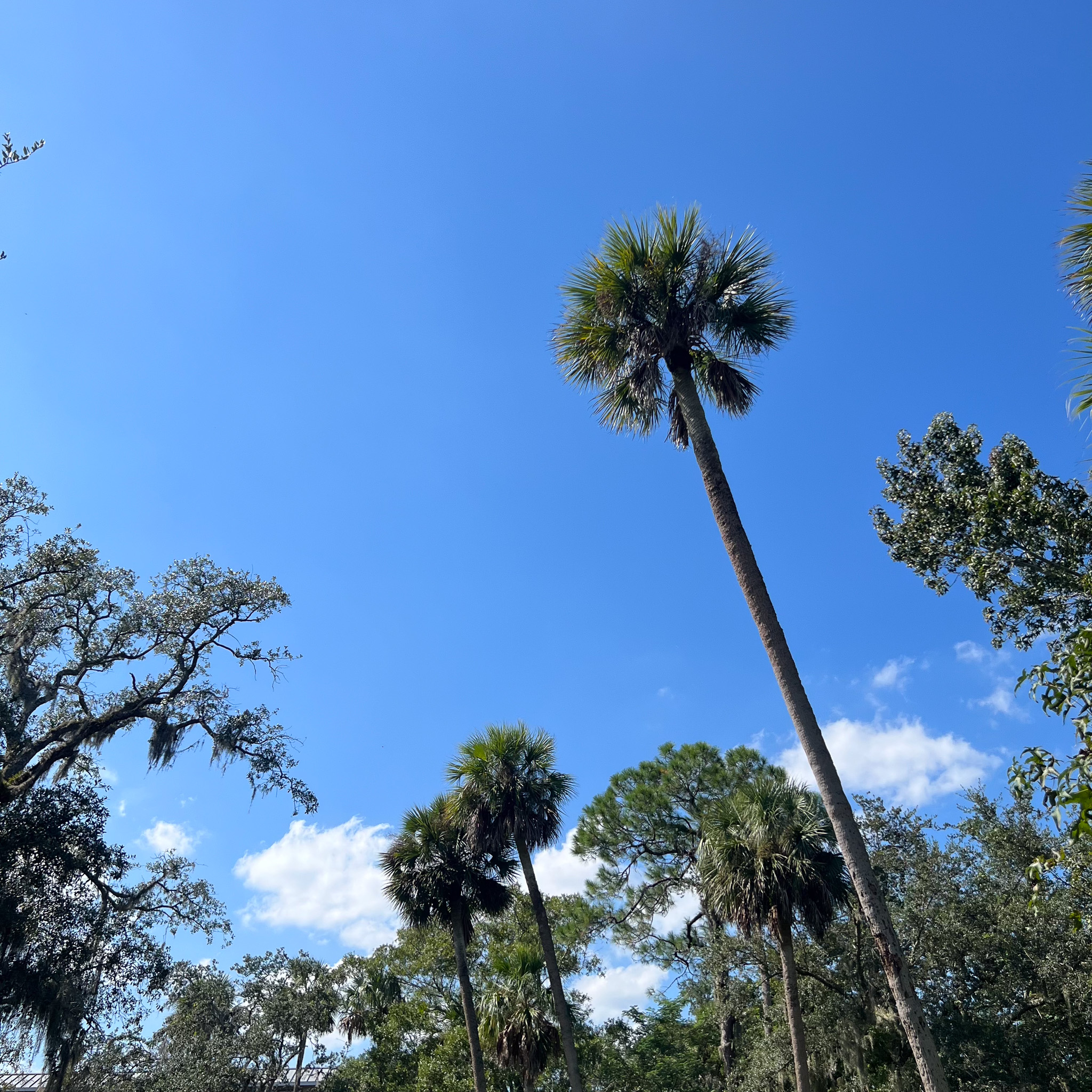 Perfect Weather For Tonight's Sunset At The Zoo! - Central Florida Zoo ...