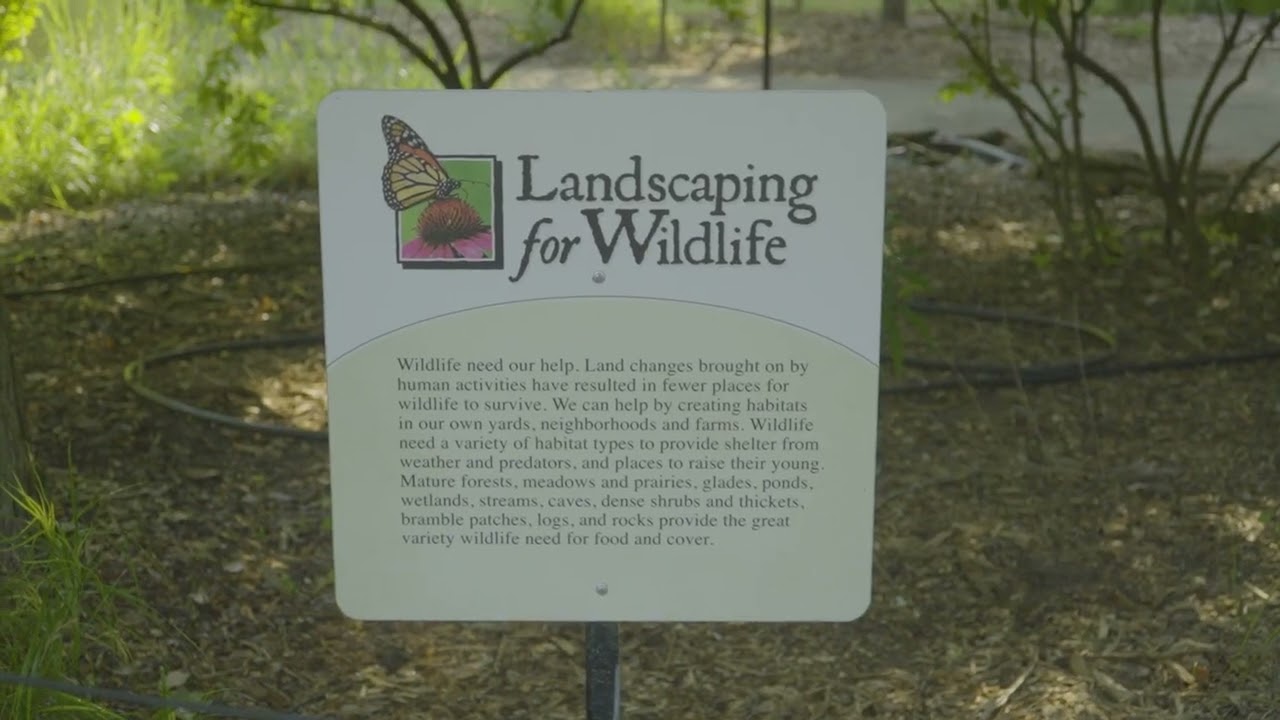 Lots To See At Zoo! - Zoos - USA - Missouri - Dickerson Park Zoo ...