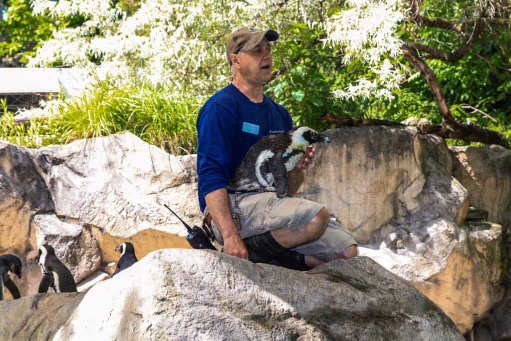 Remembering Zoo Keeper Kevin Blakely - Zoos - USA - New York - Seneca ...