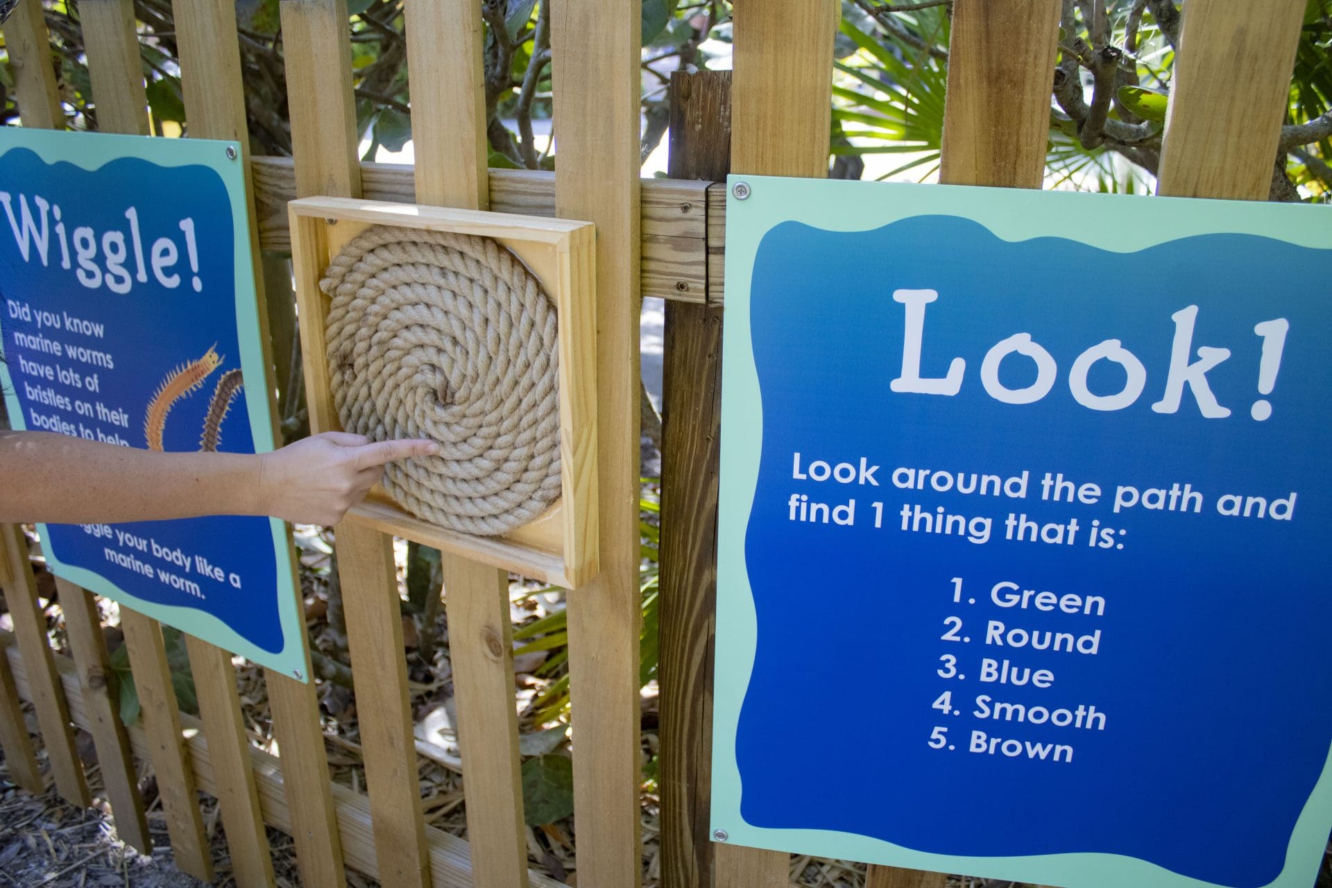 New Sensory Pathway Unveiled - Explore Now! - Zoos - USA - Florida ...