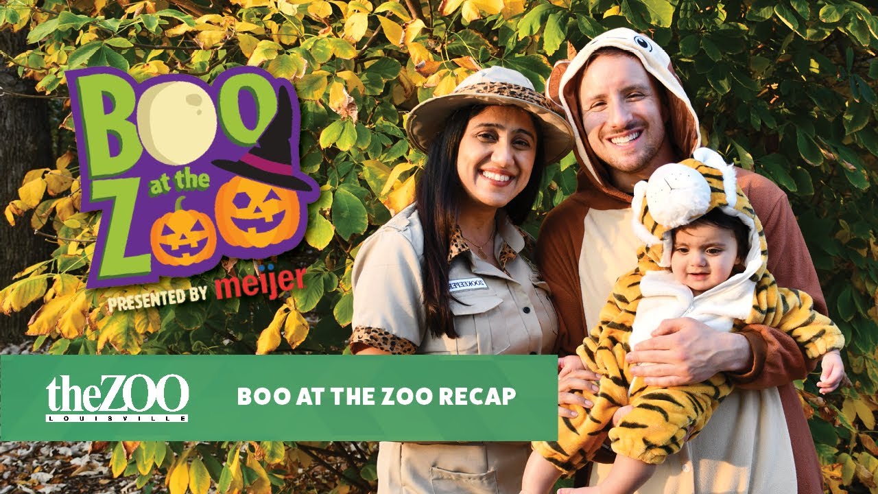 2023 Boo At The Zoo Recap - Louisville Zoo Zoo Guide