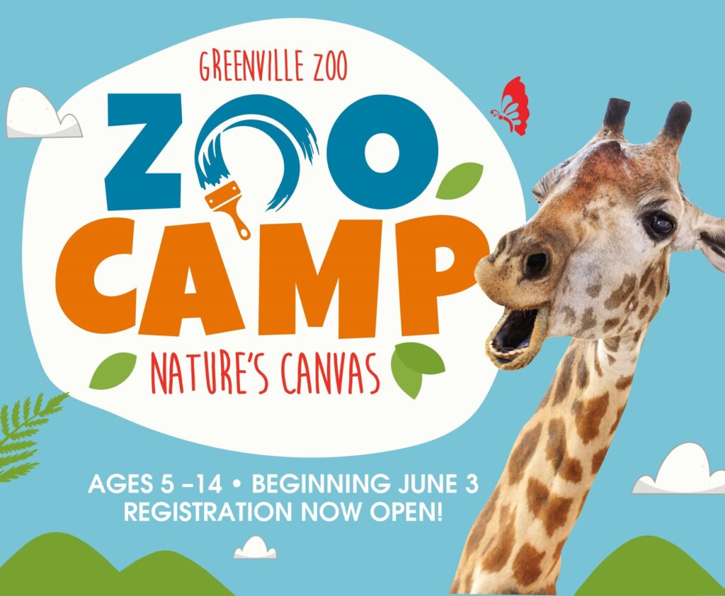 Zoo Camp: Sign Up For A Wild Summer! - Greenville Zoo Zoo Guide