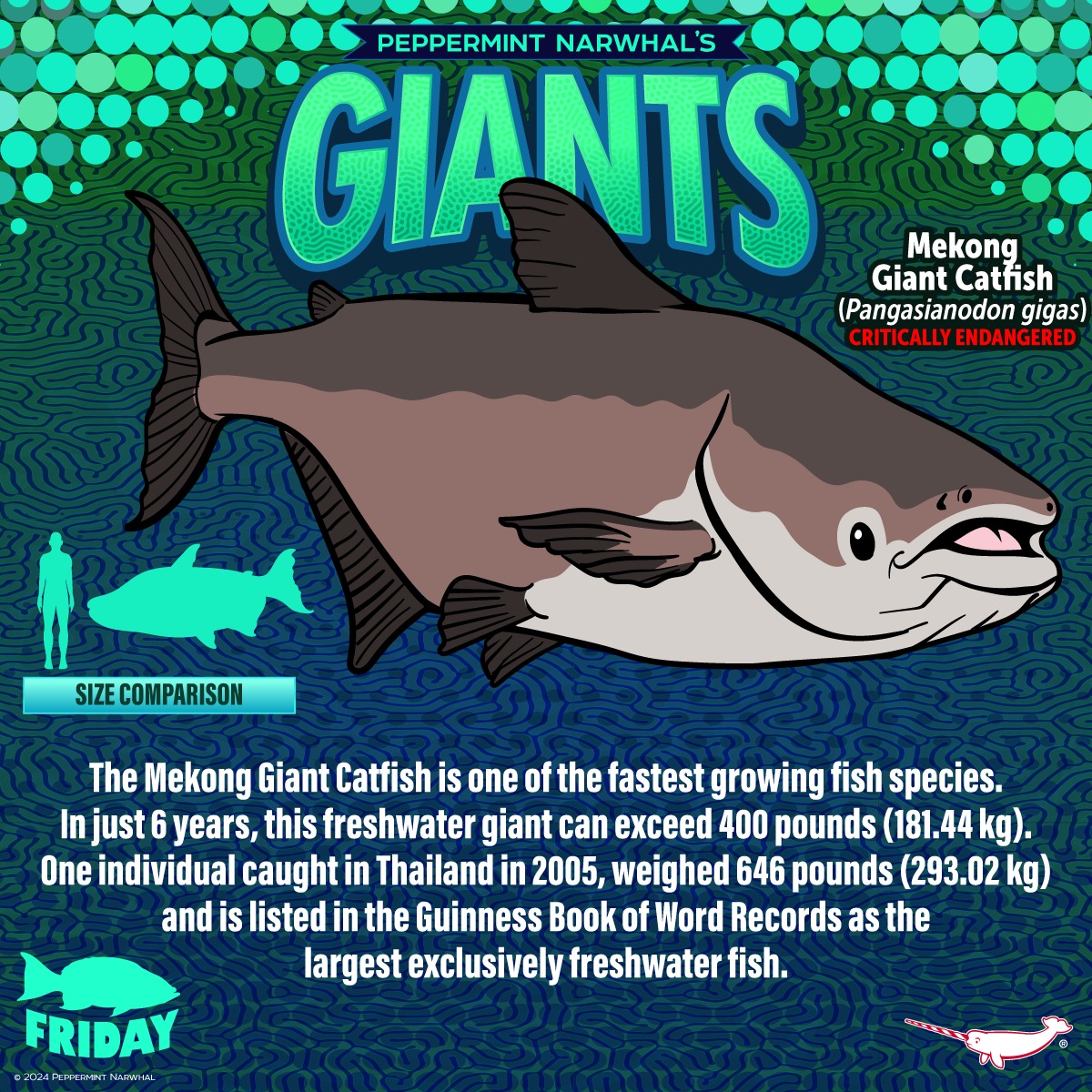 Celebrate Big Fish Friday This Year - Zoo / Animal Special Days ...