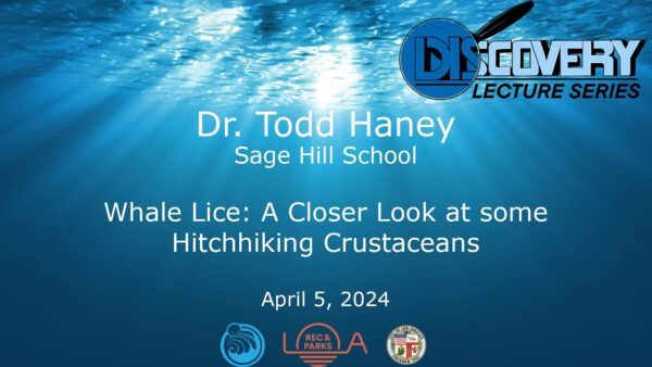 Exploring Whale Lice: Hitchhiking Sea Crustaceans - Cabrillo Marine ...