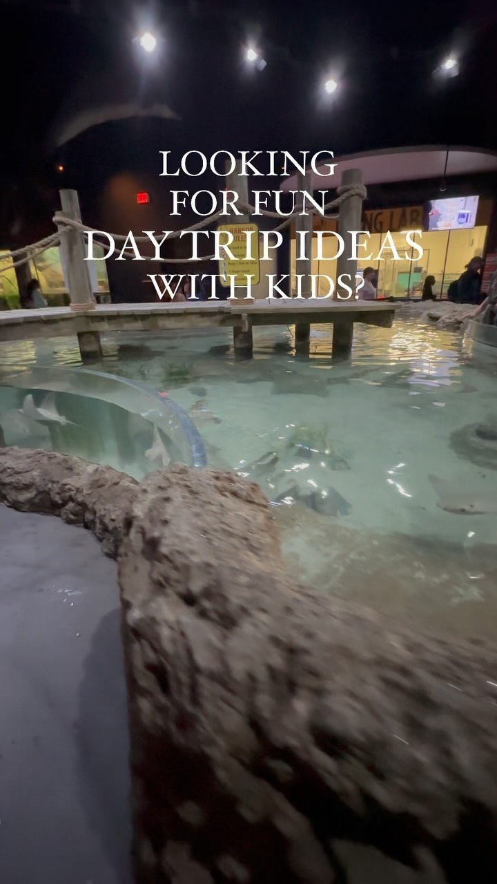 Explore The Greensboro Science Hub - Greensboro Science Center Zoo Guide