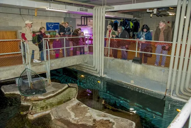 Zoo Trip: What To Do At The Zoo! - Zoo Guide Resources Zoo Guide