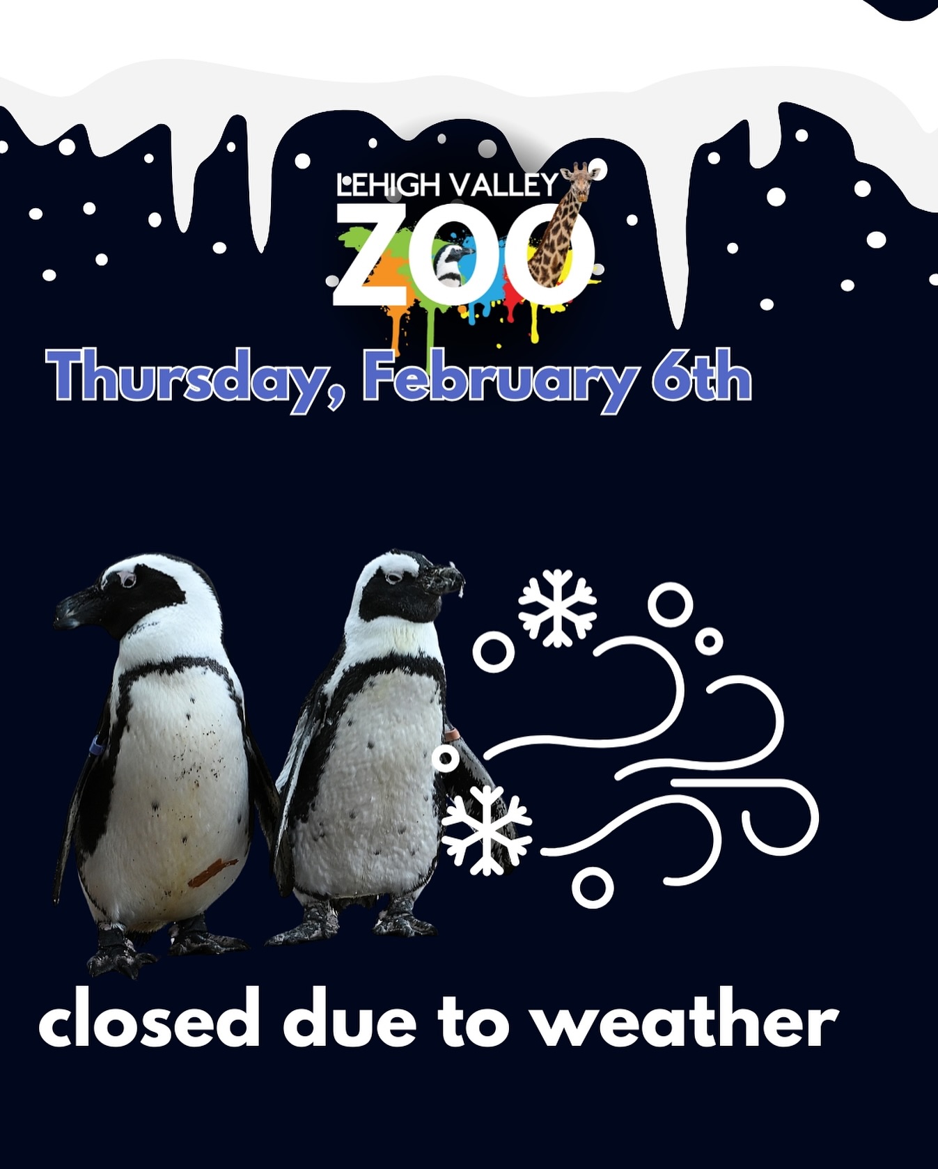 Important Update: Lehigh Valley Zoo Closed Due To Weather - Lehigh ...