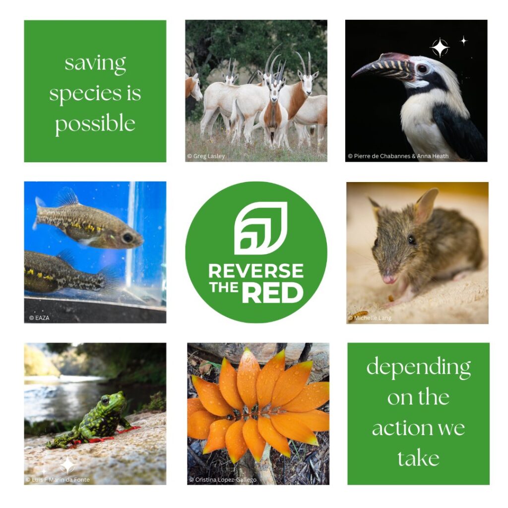 Saving Species: Our Actions Determine Their Future - Zoos - USA ...