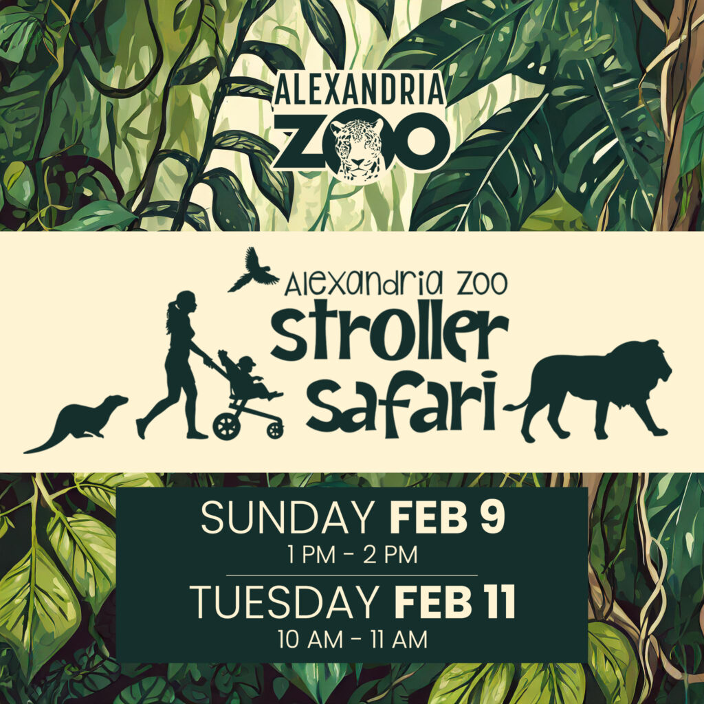 Stroller Safari: A Journey For Young Explorers Aged Birth To 5 - Zoos ...