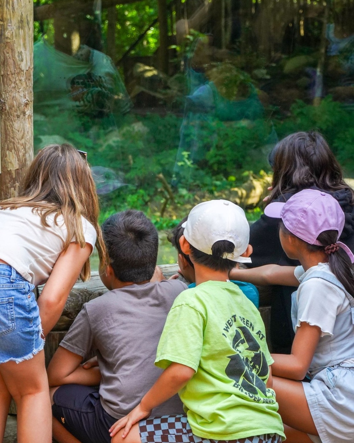 Dreaming Of Summer Adventures: A Winter Warm-Up! - Zoos - USA ...