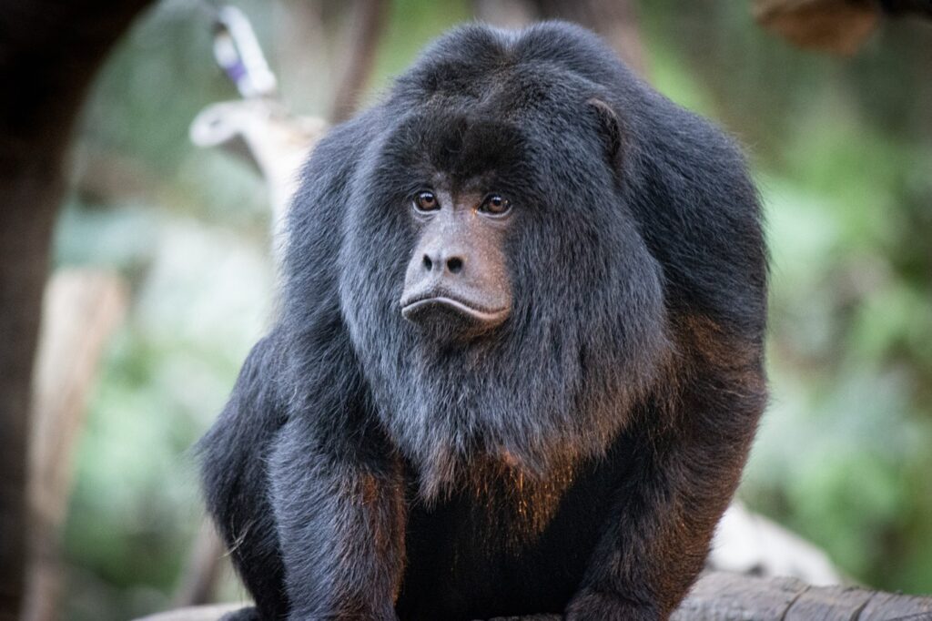 Spring Break Approaches: Register Your Child Now! - Zoos - USA ...