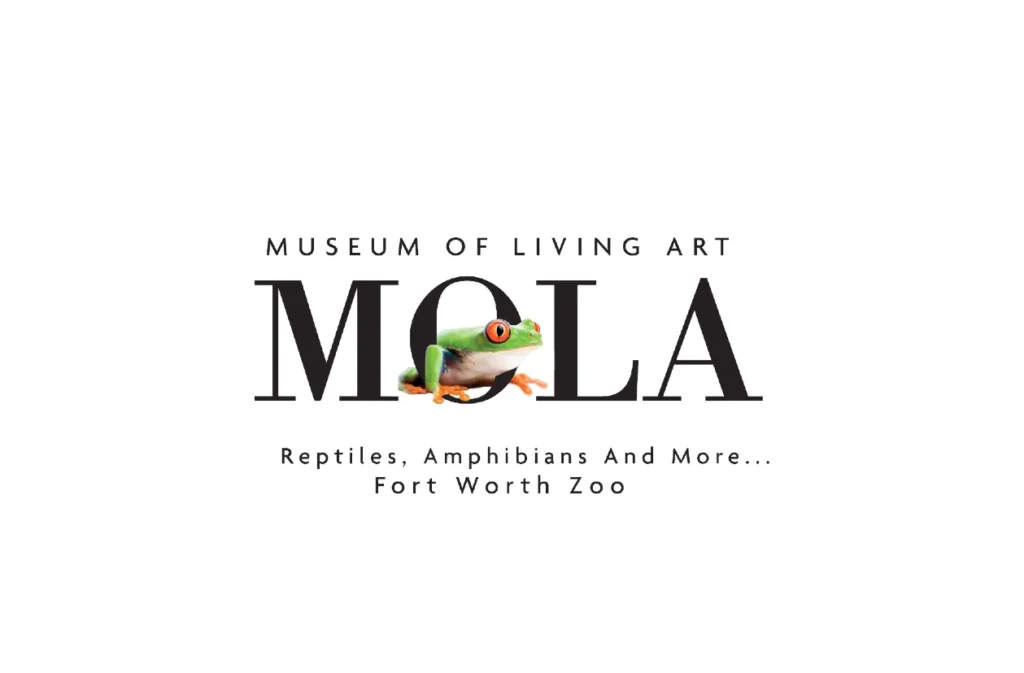 Definitive Guide To Fort Worth Zoo's Museum Of Living Art (MOLA ...