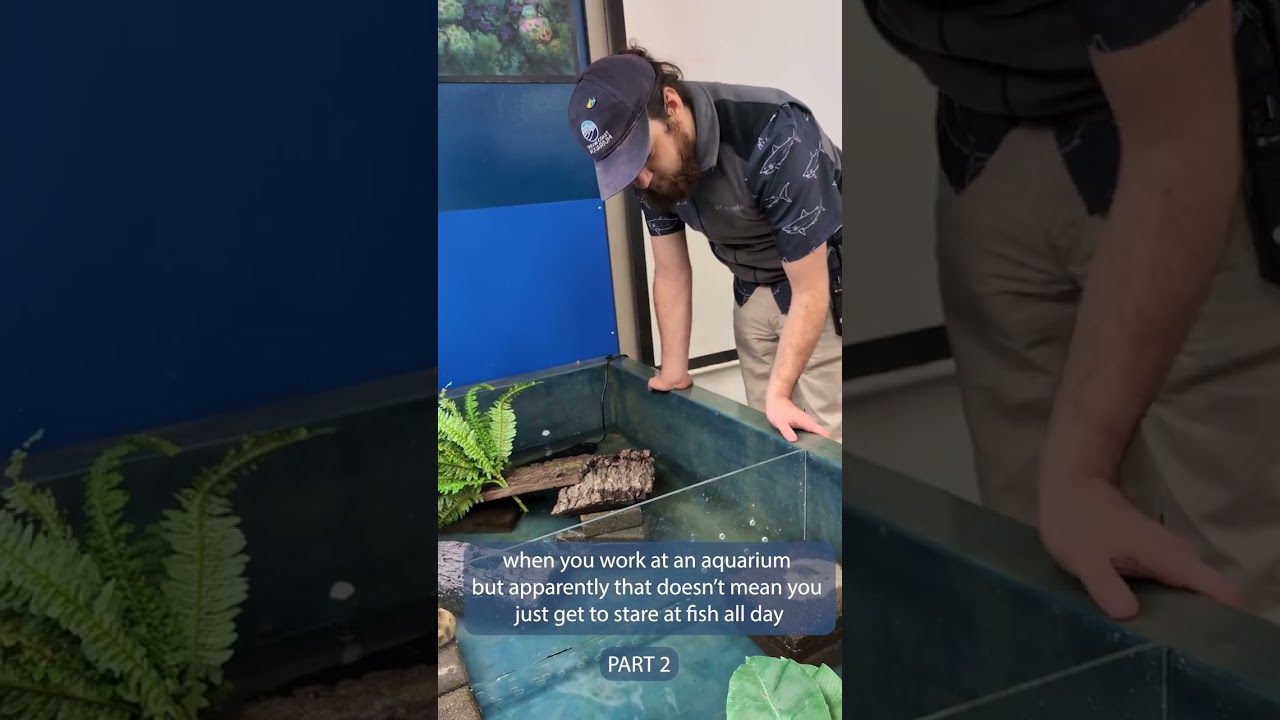 Why Can't We Simply Observe Fish? - Oregon Coast Aquarium Zoo Guide