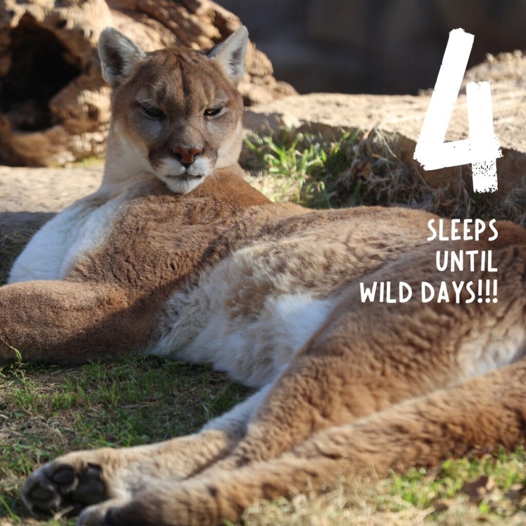 Spring Break Is Almost Here! Get Ready For The Fun And Adventure! Don't ...