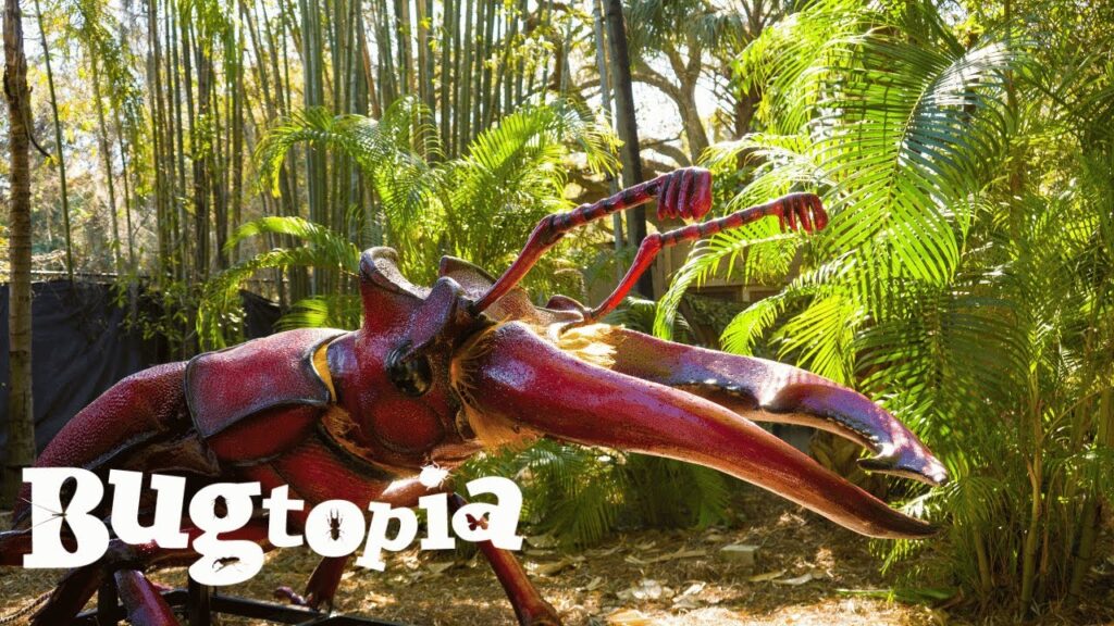 Buggy Bliss At ZooTampa! - Zoos - USA - Florida - Tampa Zoo Zoo Guide