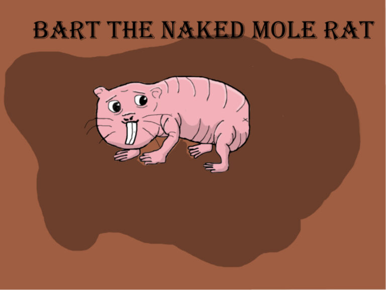 Bart The Naked Mole Rat - Zoos - USA - Georgia - Atlanta Zoo Zoo Guide