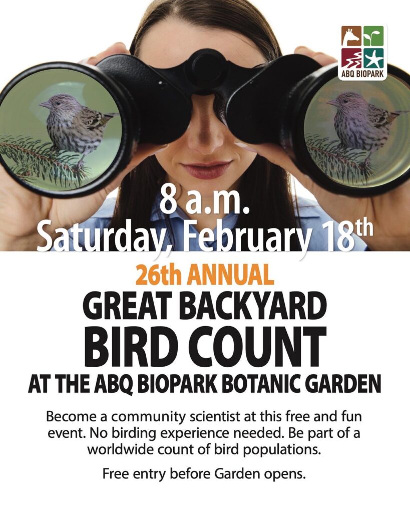 Join The Nationwide Great Backyard Bird Count: Don't Forget Your ...