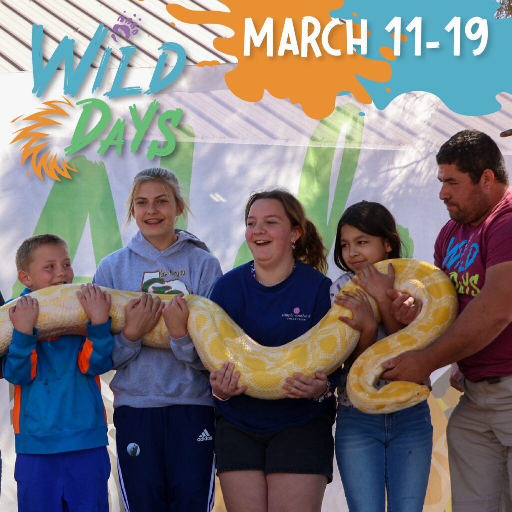 Abilene Zoo's Event: Hold A 100lb Burmese Python With X Number Of Kids ...