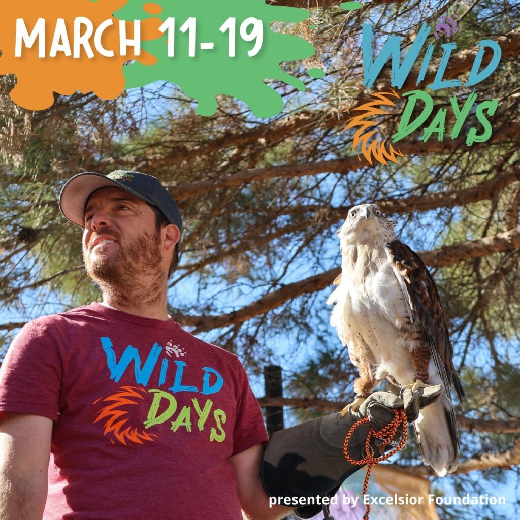 Spring Break Is Coming: Plan A Visit To A Destination For Animal Lovers ...