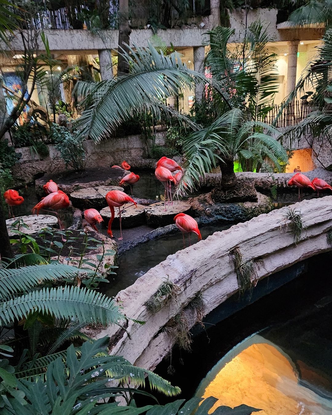 Experience the Lush and Vibrant Rainforest in the Heart of Downtown ...