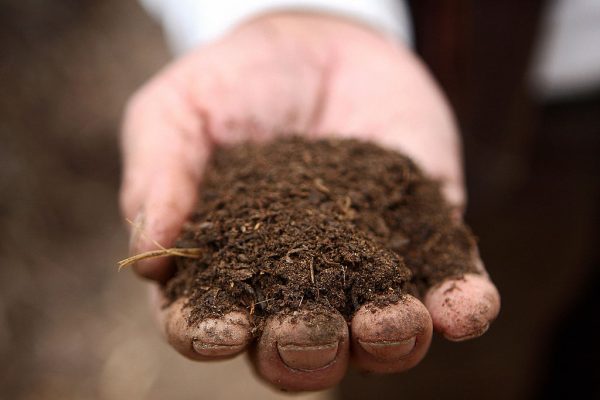 Buffalo Zoo Converts Excess Animal Poop To Robust Compost ...