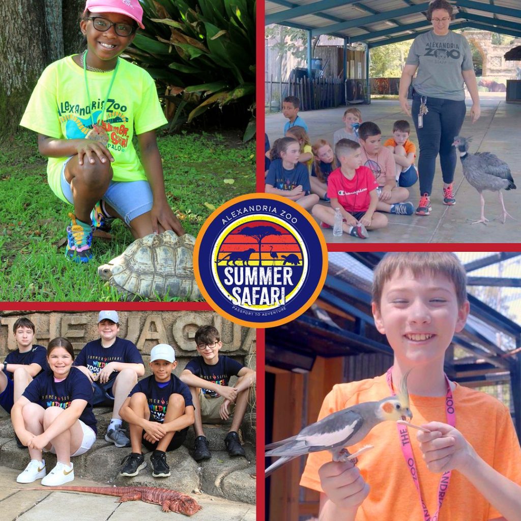 Unleashing the Wonders of Wildlife: Summer Education Programs at Zoos ...