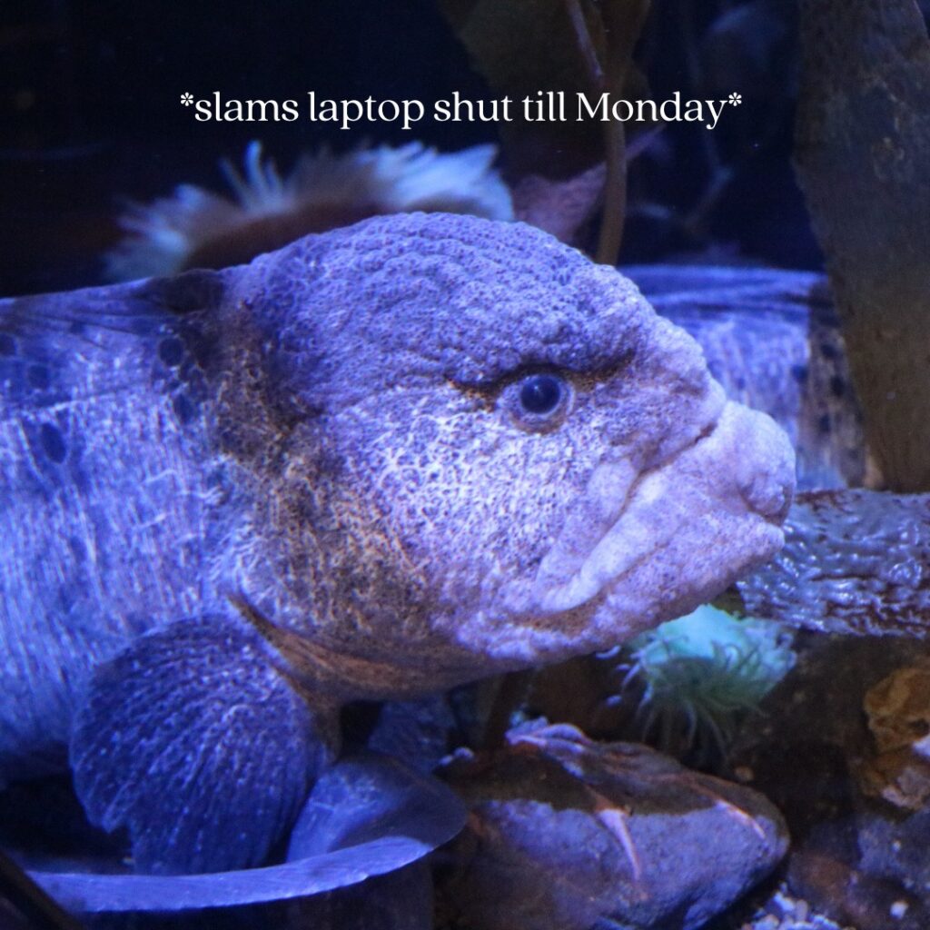 Happy Friday, We've Made It! - Zoos - USA - New Jersey - Adventure ...