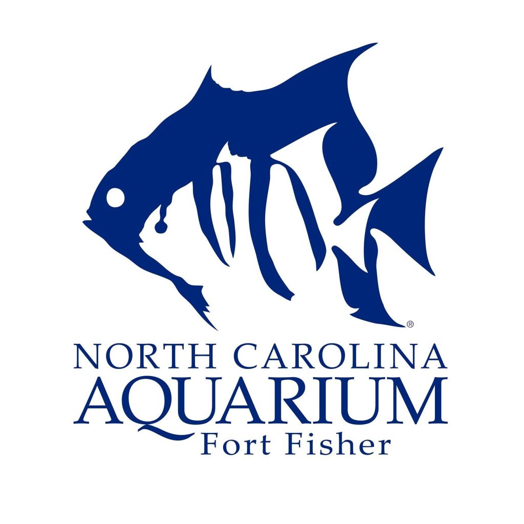 Definitive Guide To North Carolina Aquarium At Fort Fisher Facts, List Of Animals, Reviews And ...