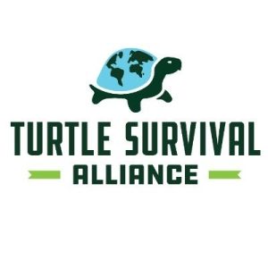 Definitive Guide To Turtle Survival Center Facts, List Of Animals ...
